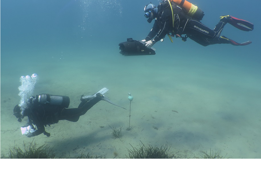 Diver Platform top - RJE International