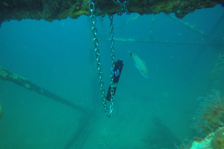 Diver Sonar | RJE International | Mission Critical Products
